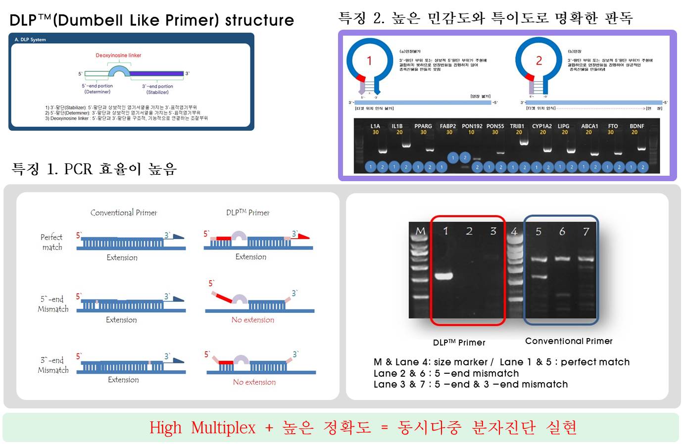 이미지: dlp_c mpcr technology
