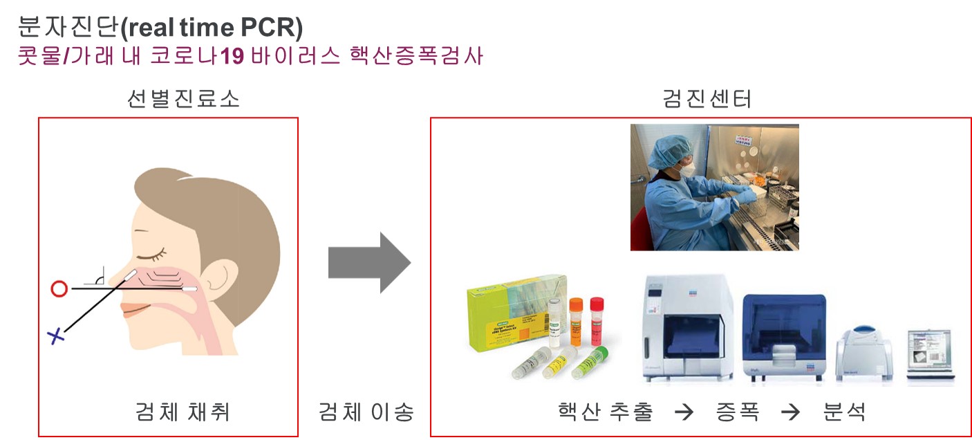 이미지: 분자진단(rt-PCR) 검사