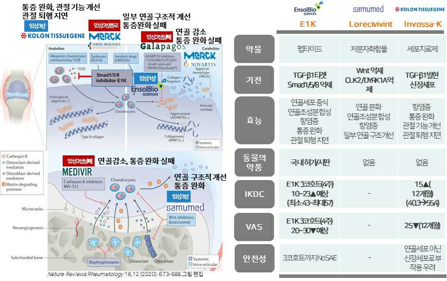 이미지: 글로벌 DMOAD로 개발 중인 경쟁약물 대비 E1K의 비교 우위성